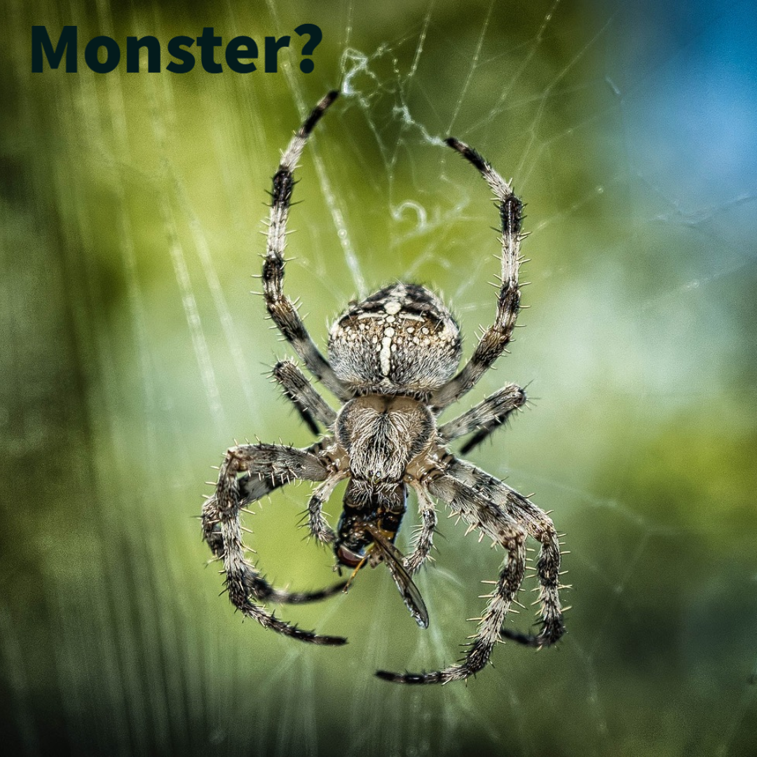 What Makes a Monster? – Ransom Noble